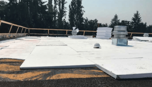 Expanded Polystyrene (EPS) Products | Poly Molding LLC